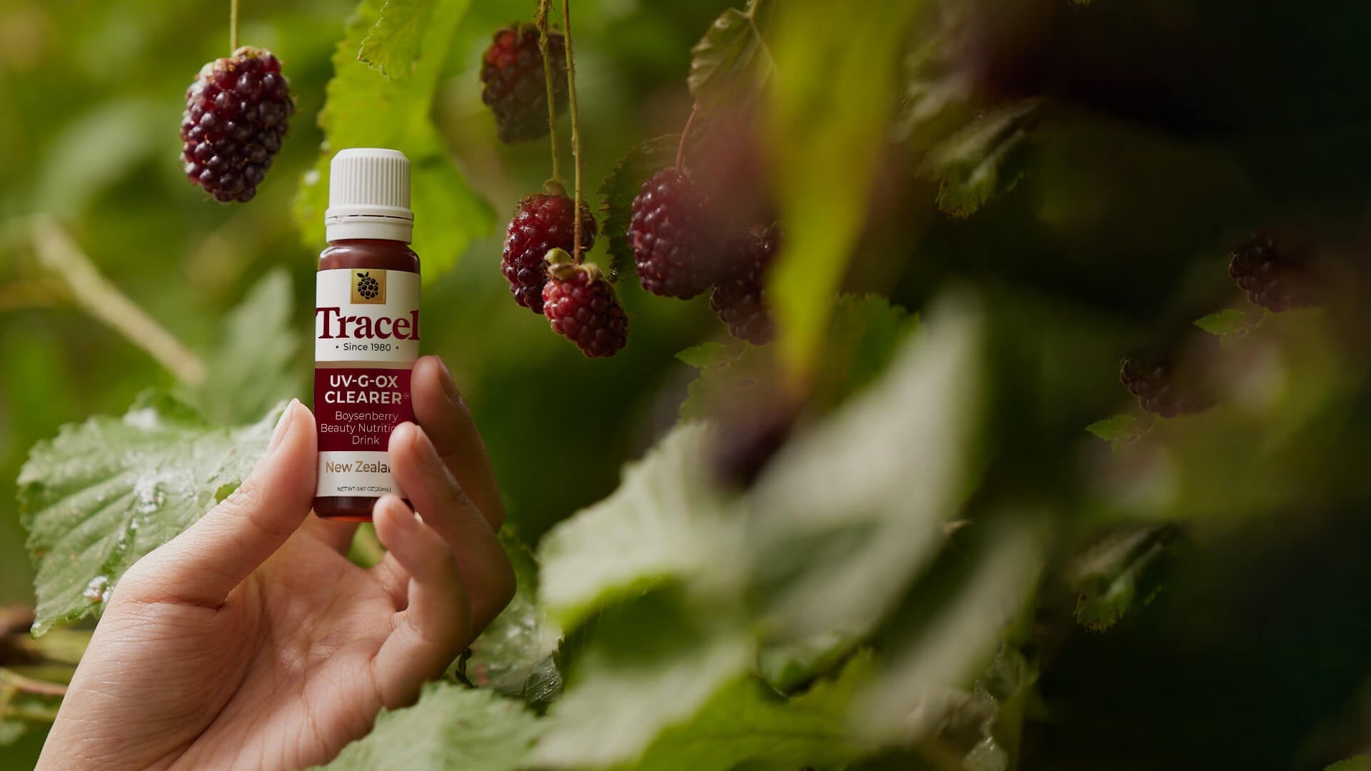 Boysenberry Skin Supplements – Tracel Health