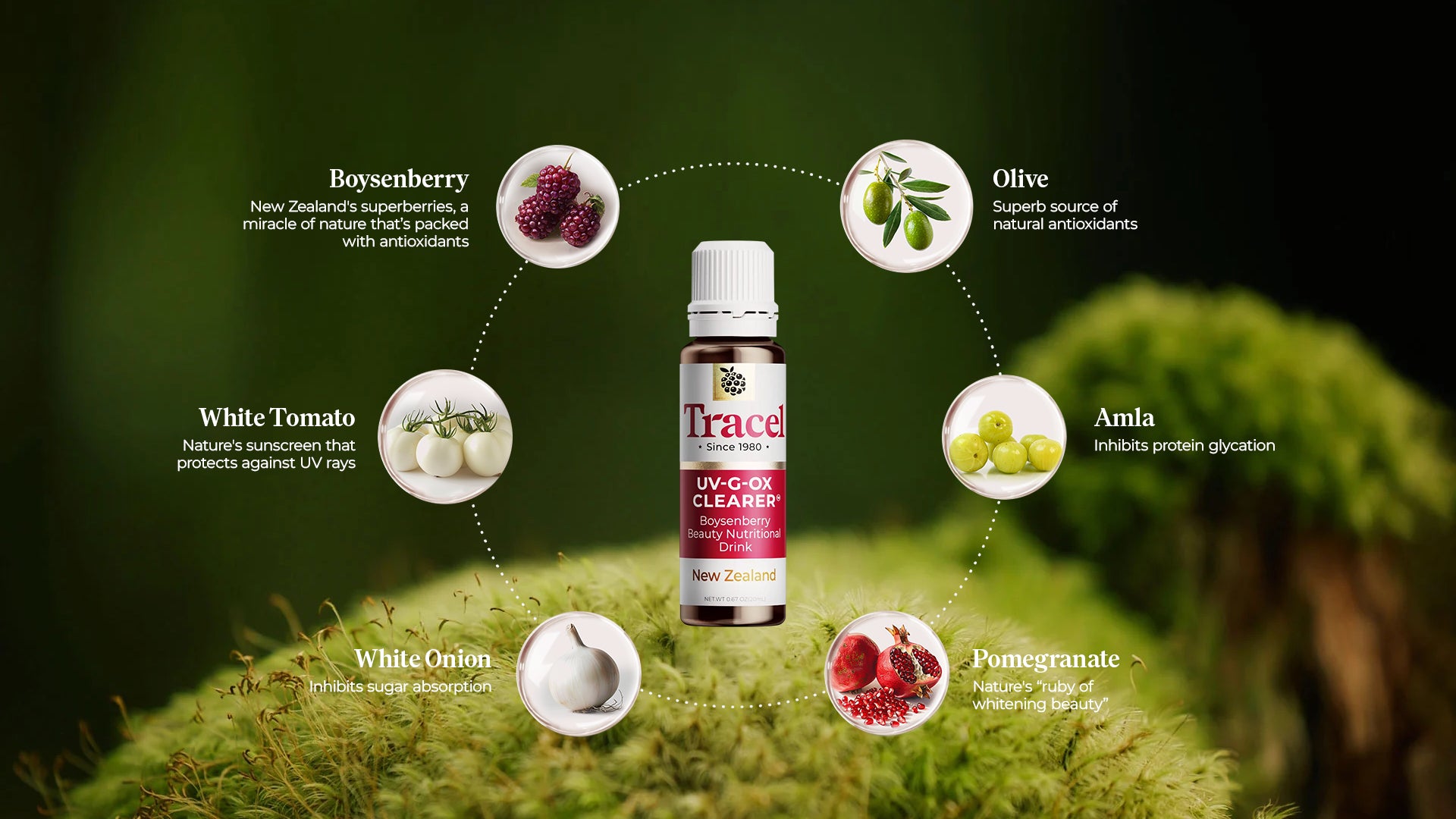 Premium Supplements – Tracel Health