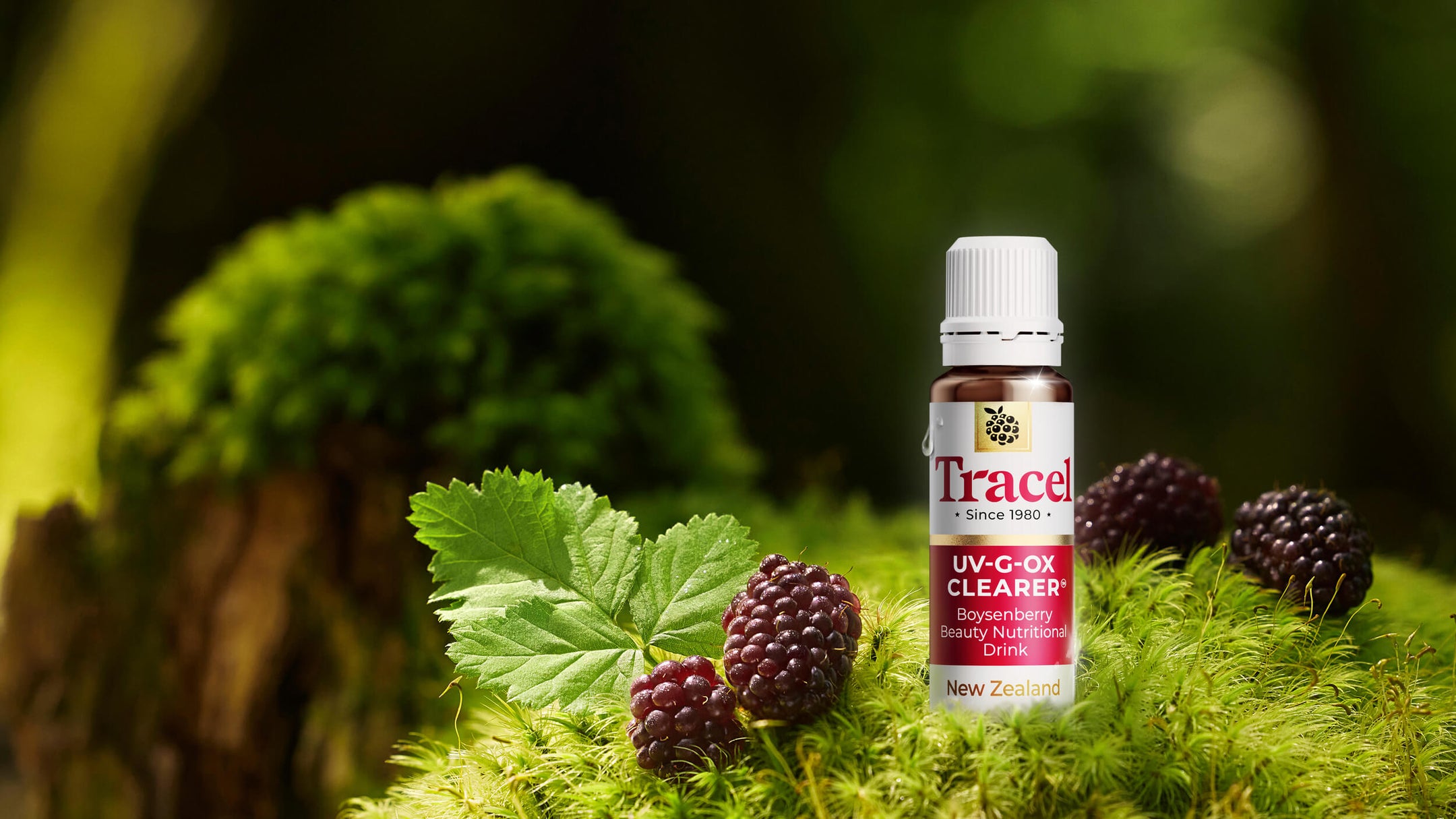 Supplements for Skin – Tracel Health